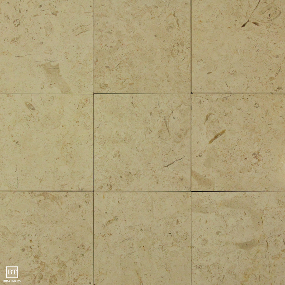 JS Bone Shell – Brastile inc